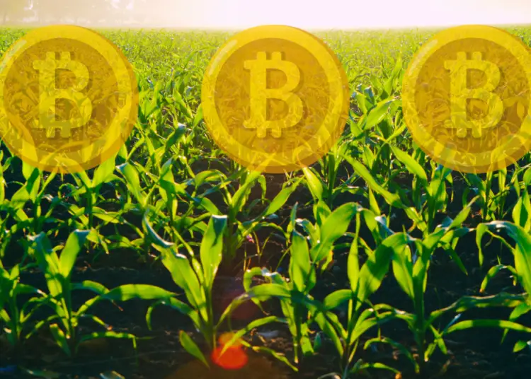 [Updated] Top 13 Yield Farming Platforms in 2026